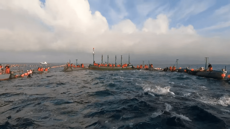 Todo lo que necesitas saber sobre el atún de almadraba - La Despensa ...